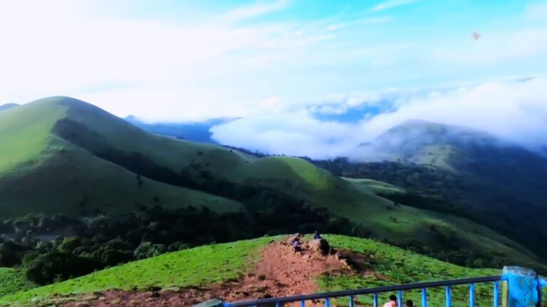 Explore Mandalpatti Peak with Our Jeep Safari - Mandalpatti Safari